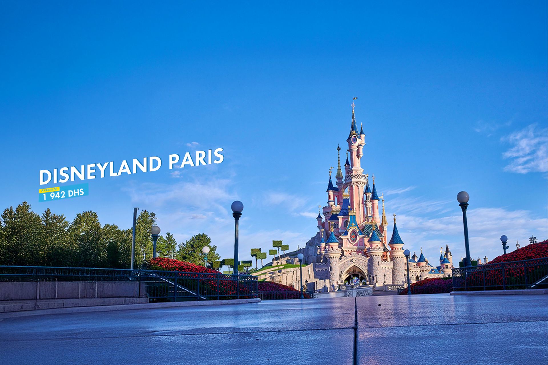 Activités | Transatour Maroc